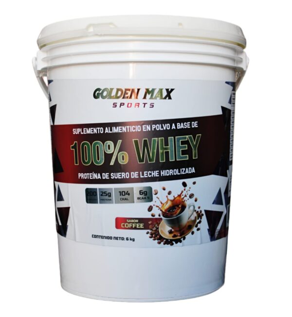 100% WHEY 200 SERVICIOS 6 KG GOLDEN MAX SPORTS – Smash Supplements Mx